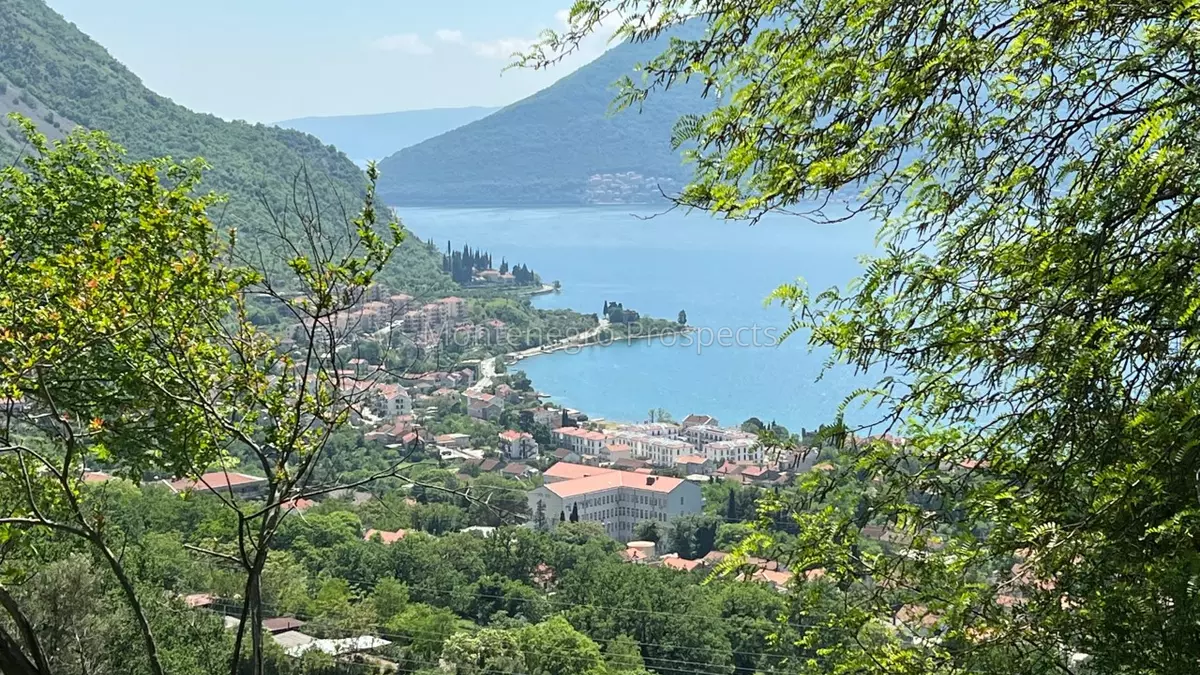 Kotor Bay | Montenegro Prospects