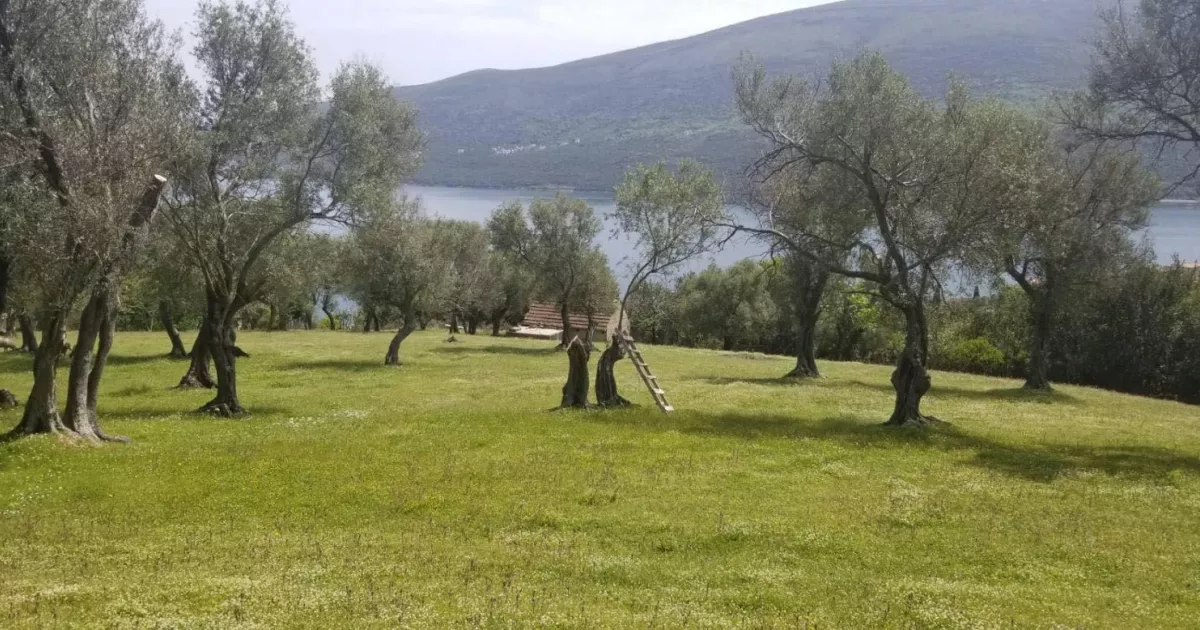 Large building plot with sea view, Djenovici, Herceg Novi | Montenegro ...